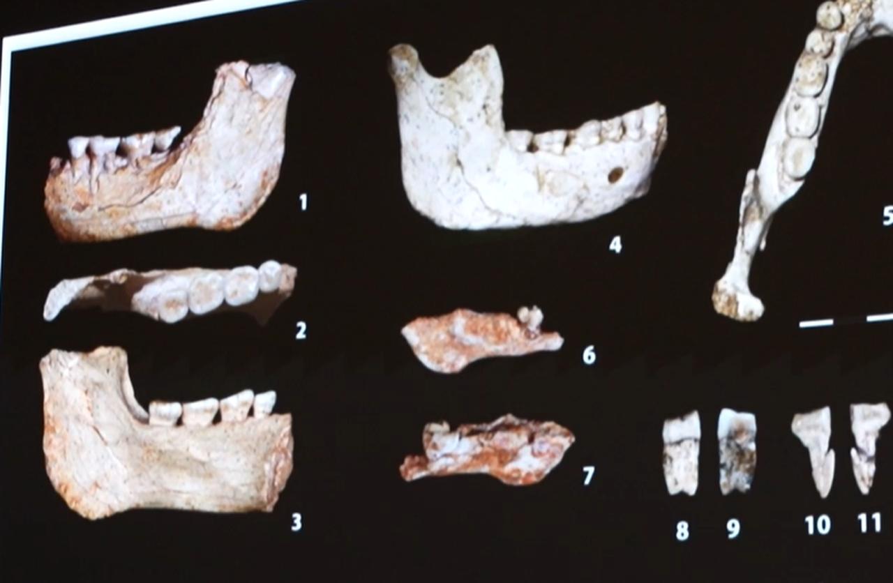 Morocco’s 773,000-year-old fossils challenge where the Homo sapiens ...
